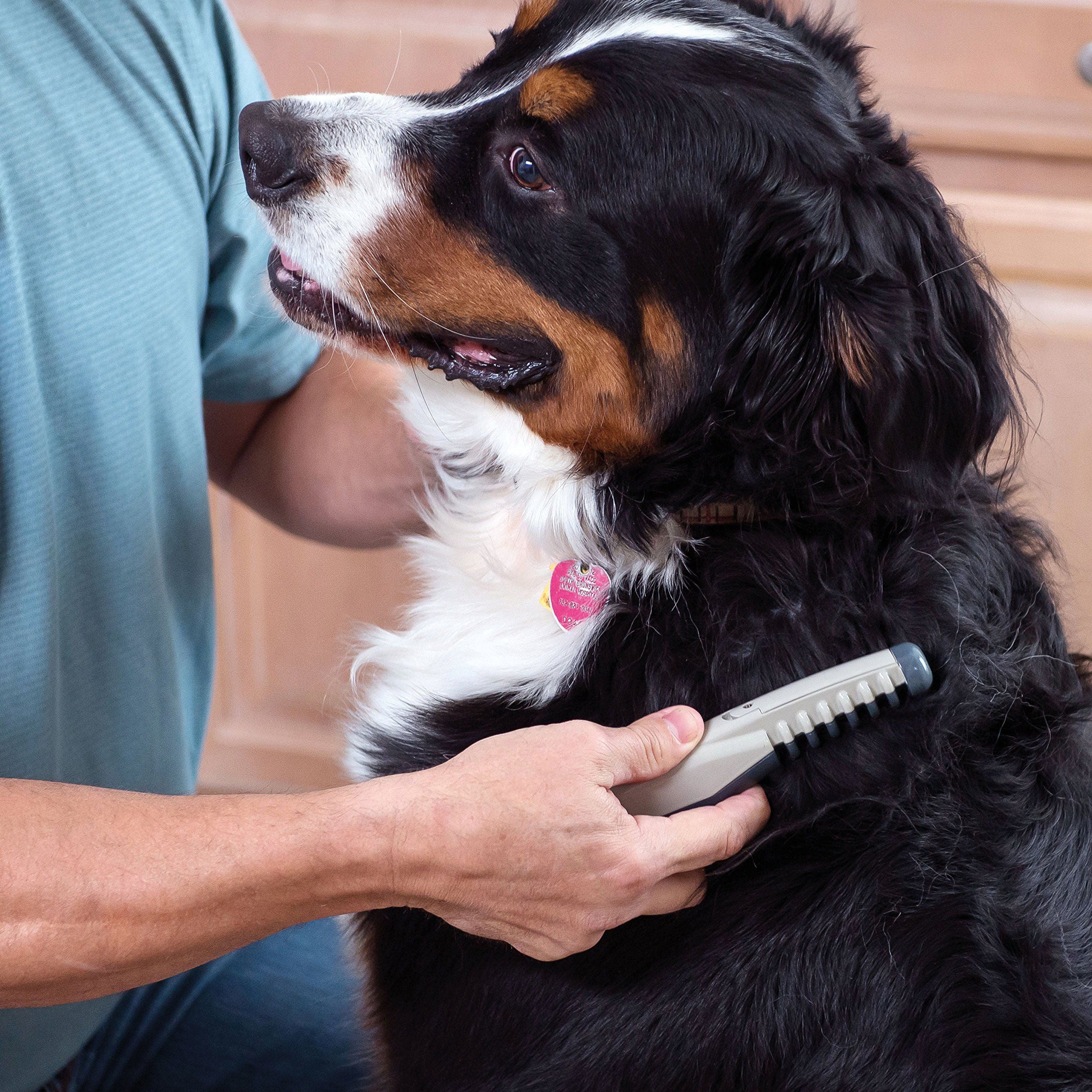 Grooming Tools – The Claw Cove