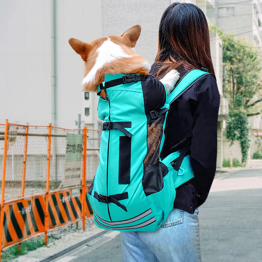 Dog Carrier – The Claw Cove